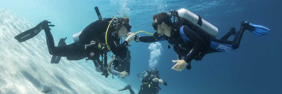 Dive Guide – Dive NSC